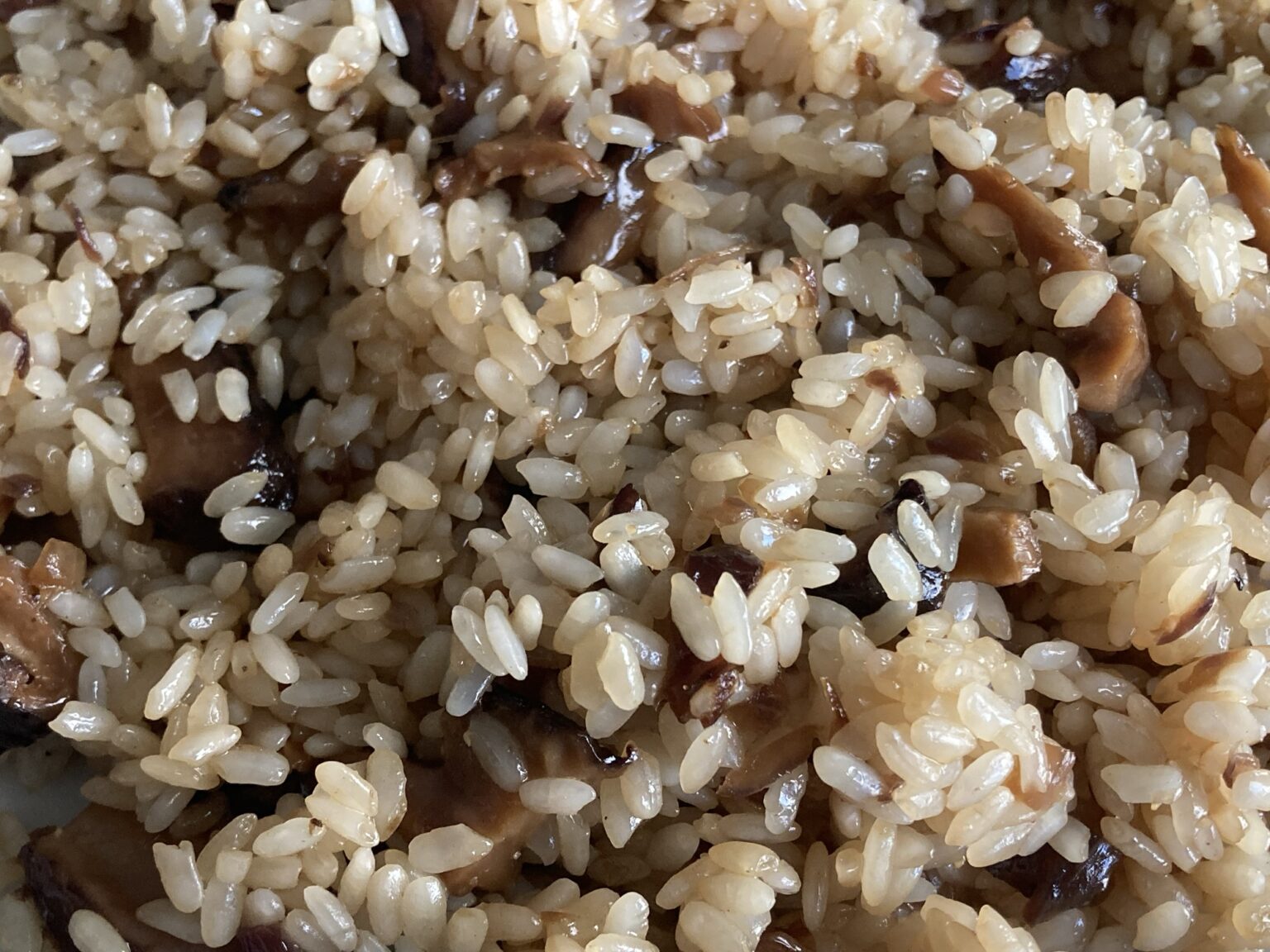 Oil Rice – Shrine Kitchen